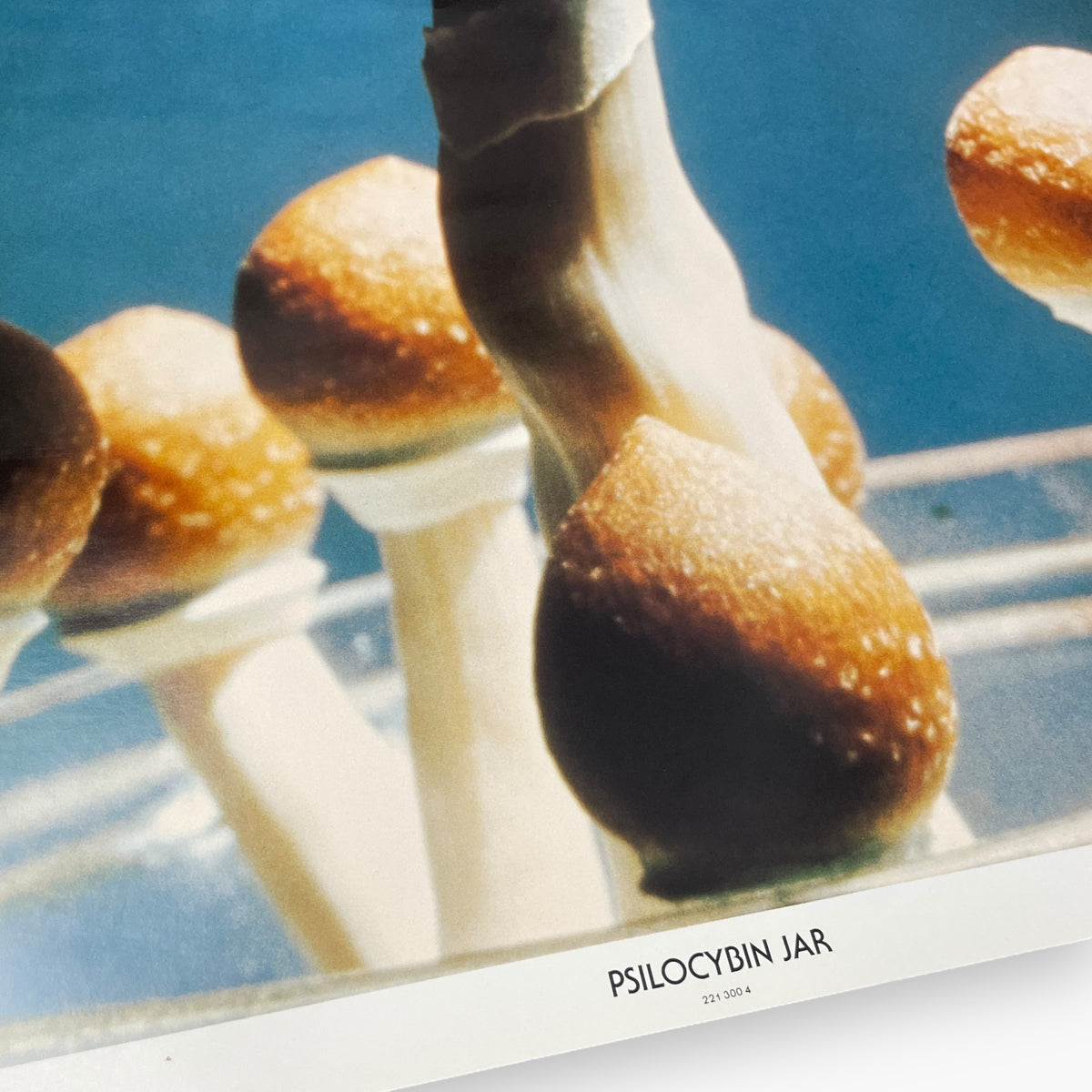 1978 PSILOCYBIN POSTER – JERKS™